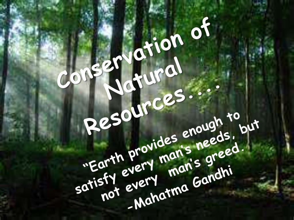 “Natural Resources and Conservation: The Key to a Sustainable Future ...