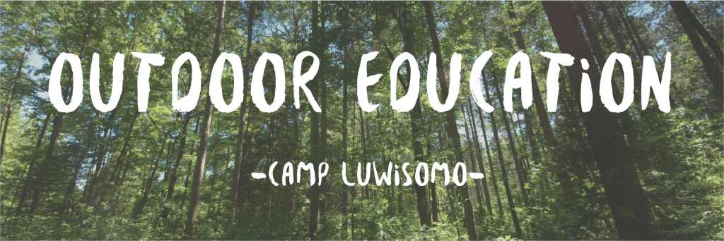 Exploring the Pros and Cons of Outdoor Adventure Activities in ...