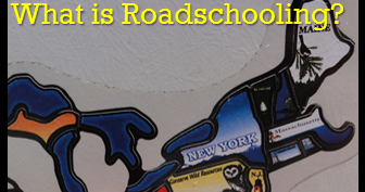 Roadschooling: A Unique Journey for Special Needs Families ...
