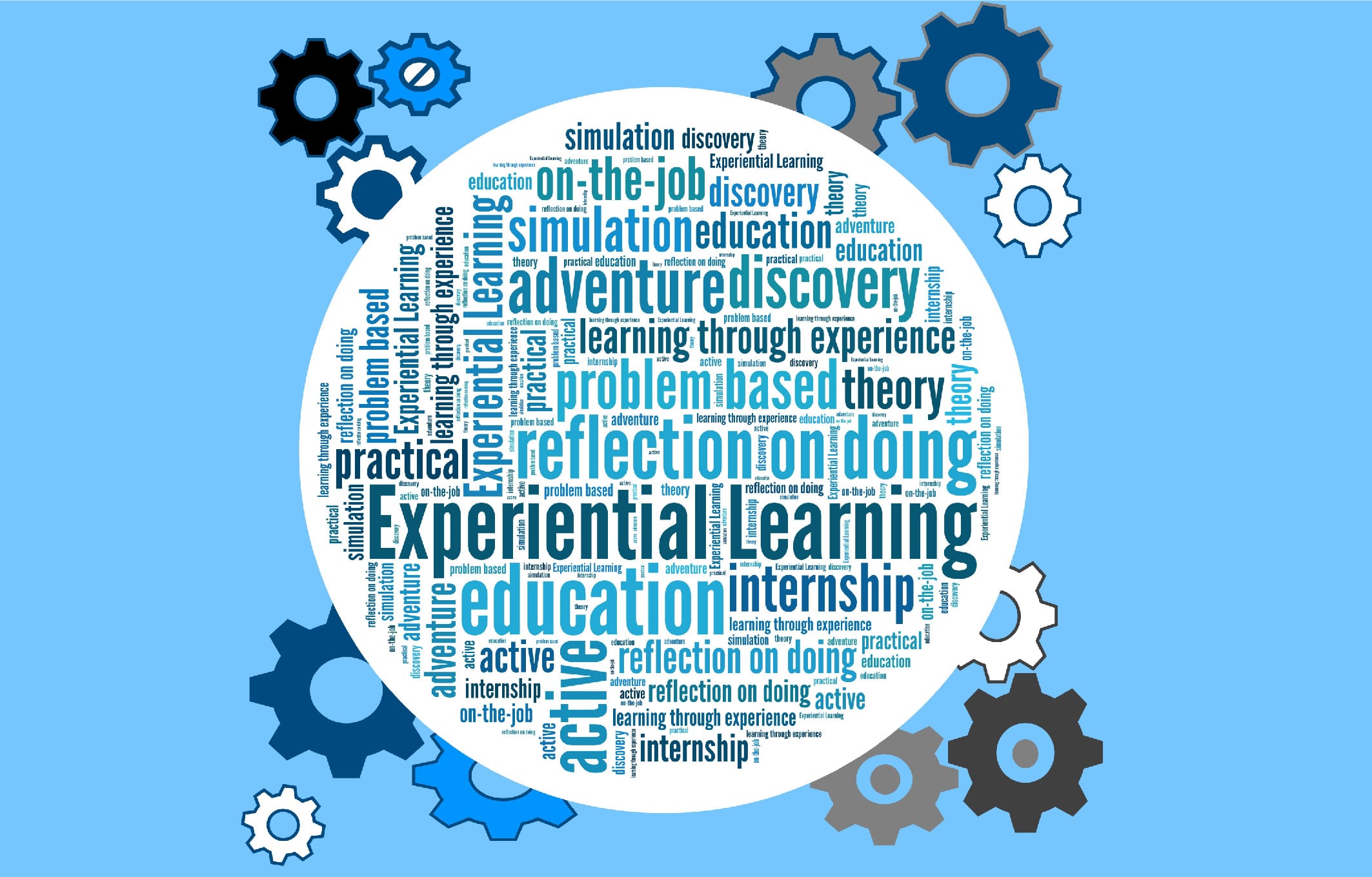 Embracing the Unconventional Path: Experiential Learning Sparks a New ...