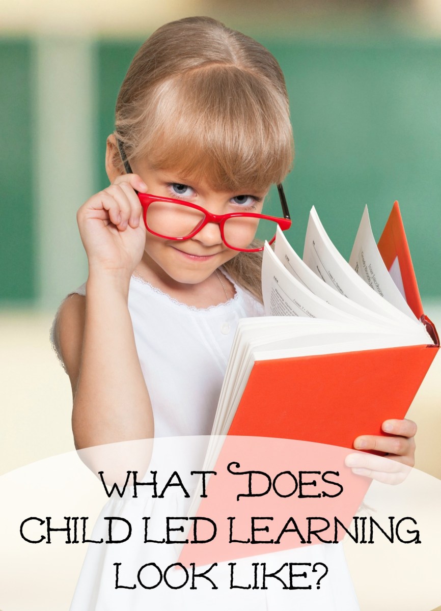 The Rise of Child-Led Learning: Unschooling and Beyond – Alternative Amie