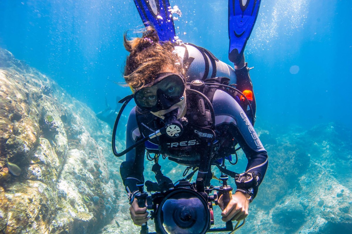 Dive into Discovery: Marine Biology Expeditions Inspire Students to ...